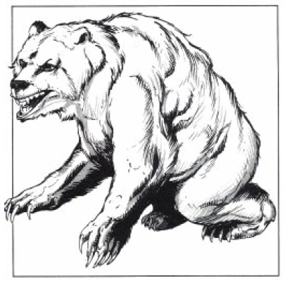 Ice bear | Dungeons & Dragons Lore Wiki | Fandom