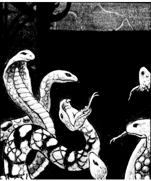 Shadow asp | Dungeons & Dragons Lore Wiki | Fandom