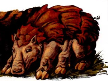 Aprig | Dungeons & Dragons Lore Wiki | Fandom