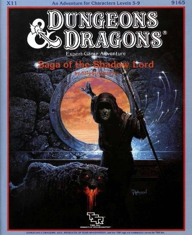 Saga of the Shadow Lord | Dungeons & Dragons Lore Wiki | Fandom