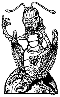 Pernicon | Dungeons & Dragons Lore Wiki | Fandom