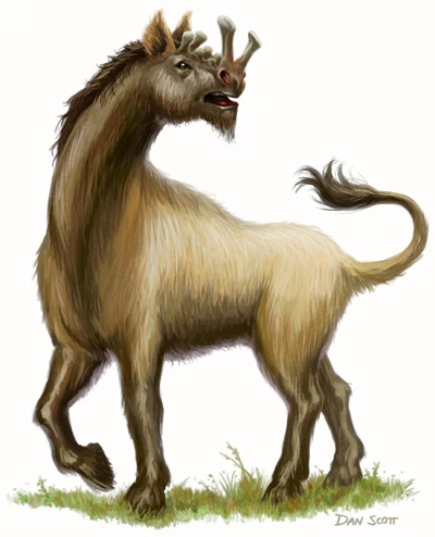 Branta | Dungeons & Dragons Lore Wiki | Fandom