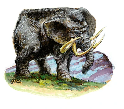 Dire elephant | Dungeons & Dragons Lore Wiki | Fandom