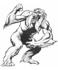 Taer | Dungeons & Dragons Lore Wiki | Fandom