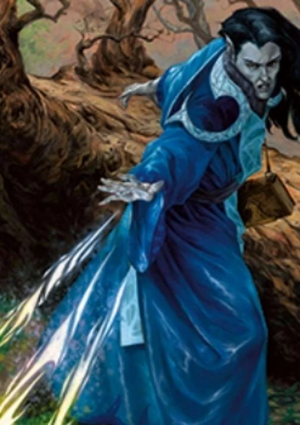 Pregen Characters: High Elf Wizard | Dungeons & Dragons Lore Wiki | Fandom