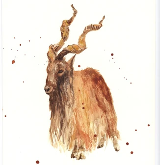 Goat | Dungeons & Dragons Lore Wiki | Fandom