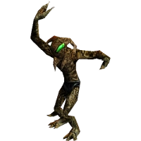 Sand Mage | Dungeon Siege Wiki | Fandom