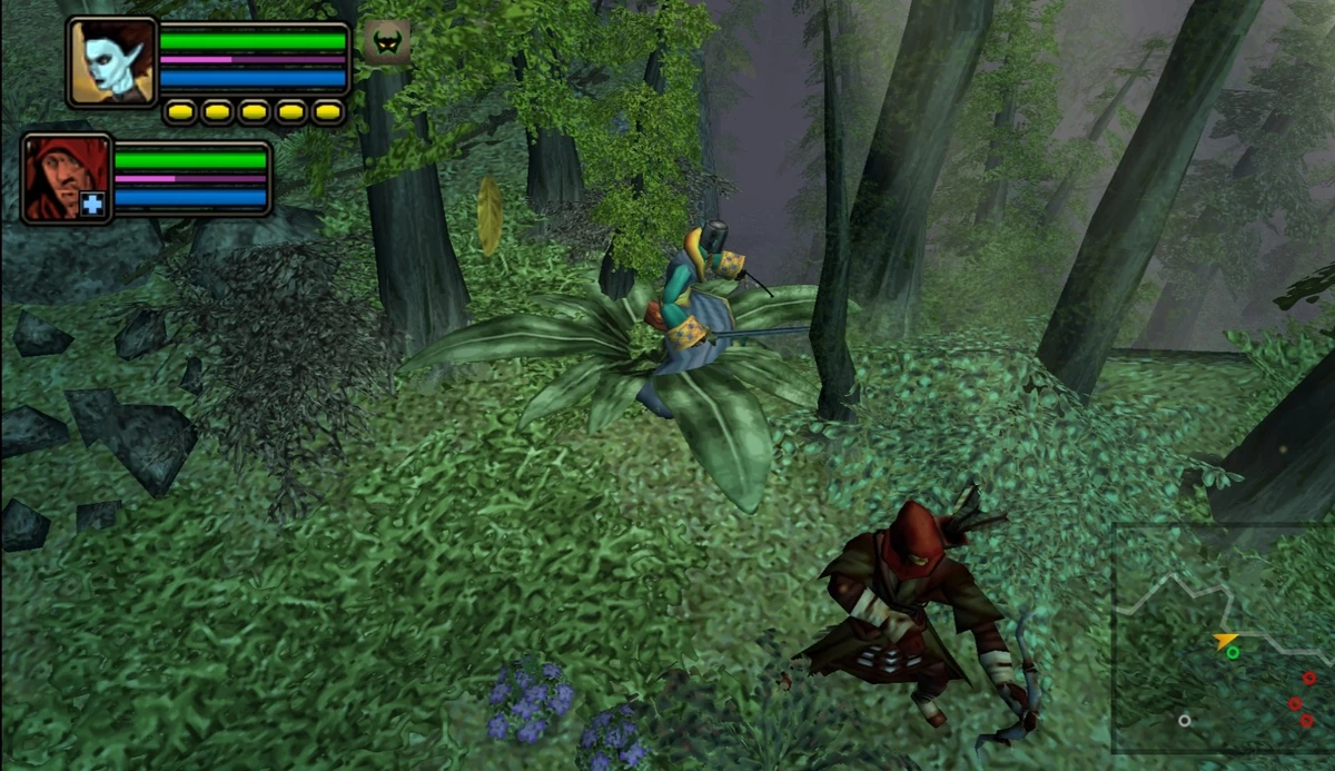 Corrupted Forest | Dungeon Siege Wiki | Fandom