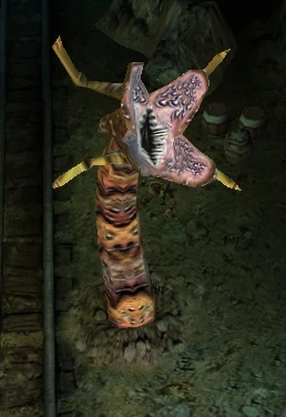 Mine Worm | Dungeon Siege Wiki | Fandom