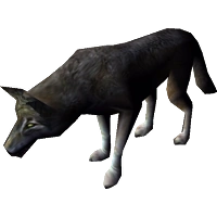 Gray Wolf | Dungeon Siege Wiki | Fandom