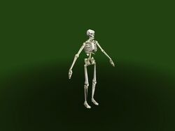 Skeleton | Dungeon Siege Wiki | Fandom