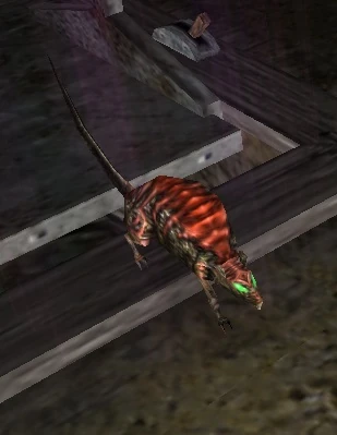 Monstrous Rat | Dungeon Siege Wiki | Fandom