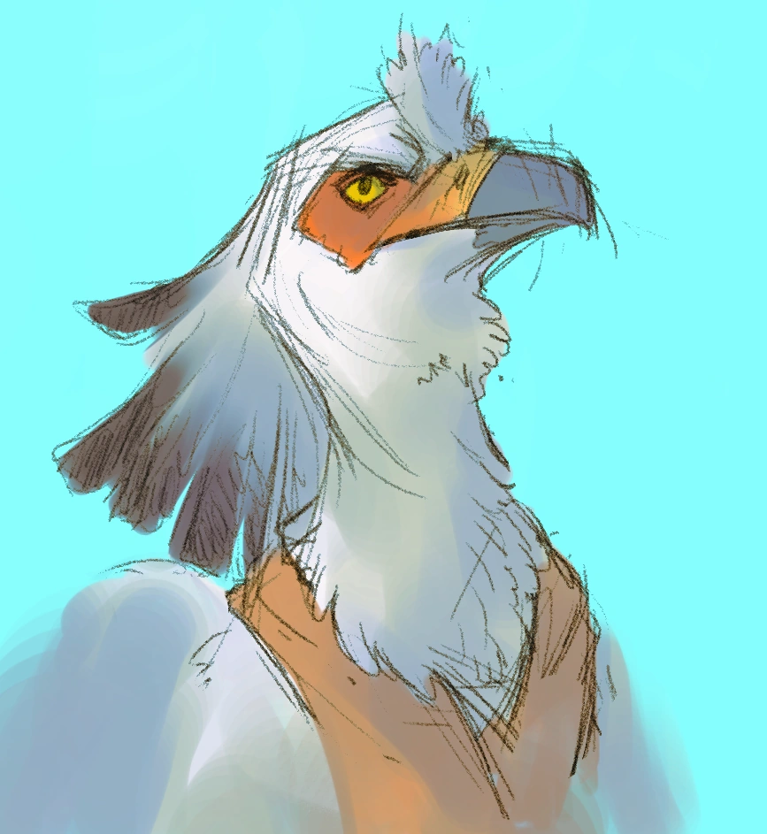 Kyru | Dungeons and Dumbasses Wiki | Fandom