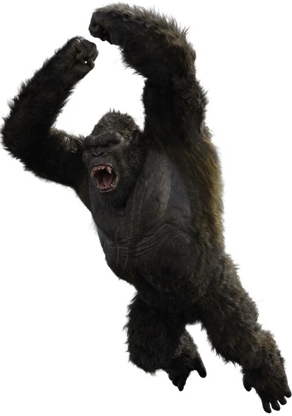 Kong | Duo-Franchise Wiki | Fandom