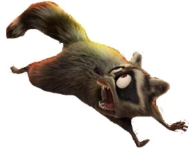 Raccoon | Duo-Franchise Wiki | Fandom