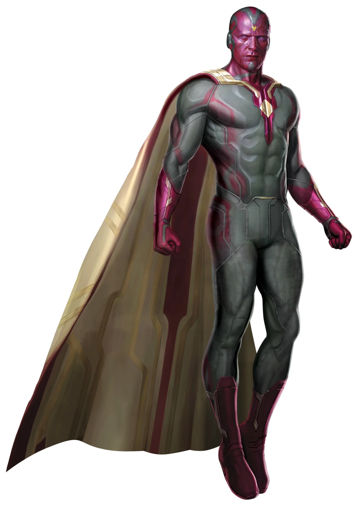 The Vision | Duo-Franchise Wiki | Fandom