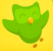 Duo | Duolingo Wiki | Fandom