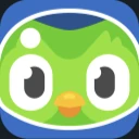 Duo | Duolingo Wiki | Fandom