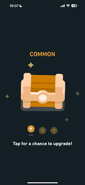 Chest | Duolingo Wiki | Fandom