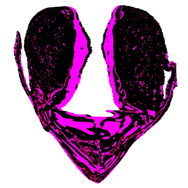 K-300 | Duplicate rooms Wiki | Fandom