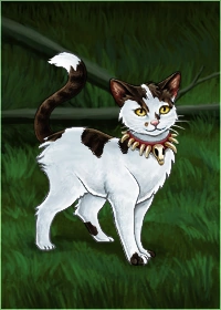 Scorch | DuskClan Wiki | Fandom