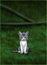 Stormkit | DuskClan Wiki | Fandom