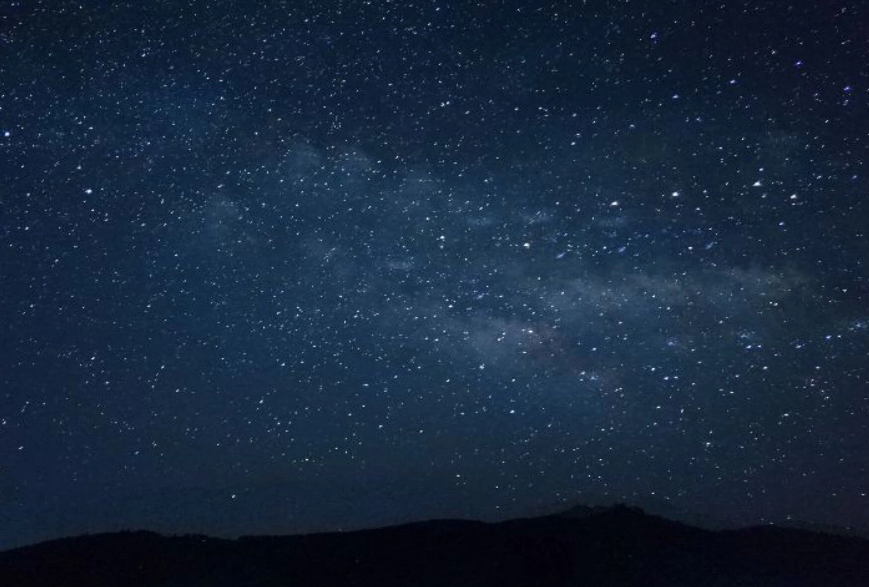 Eclipseseer | Dusk’s WoF AU Wiki | Fandom