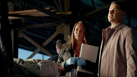 Fidelis Ad Mortem | Dustjackets Wiki | Fandom