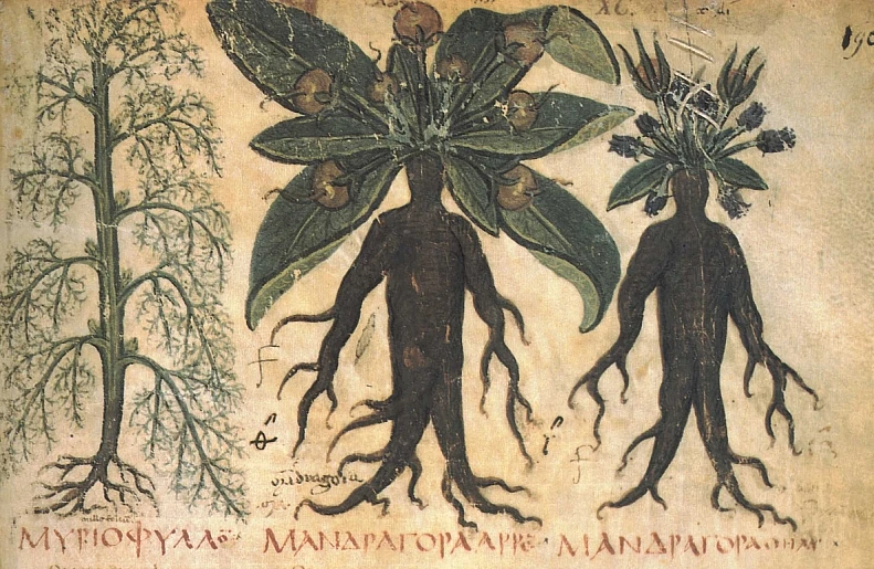 Alruin | Dutch Folklore Wikia | Fandom