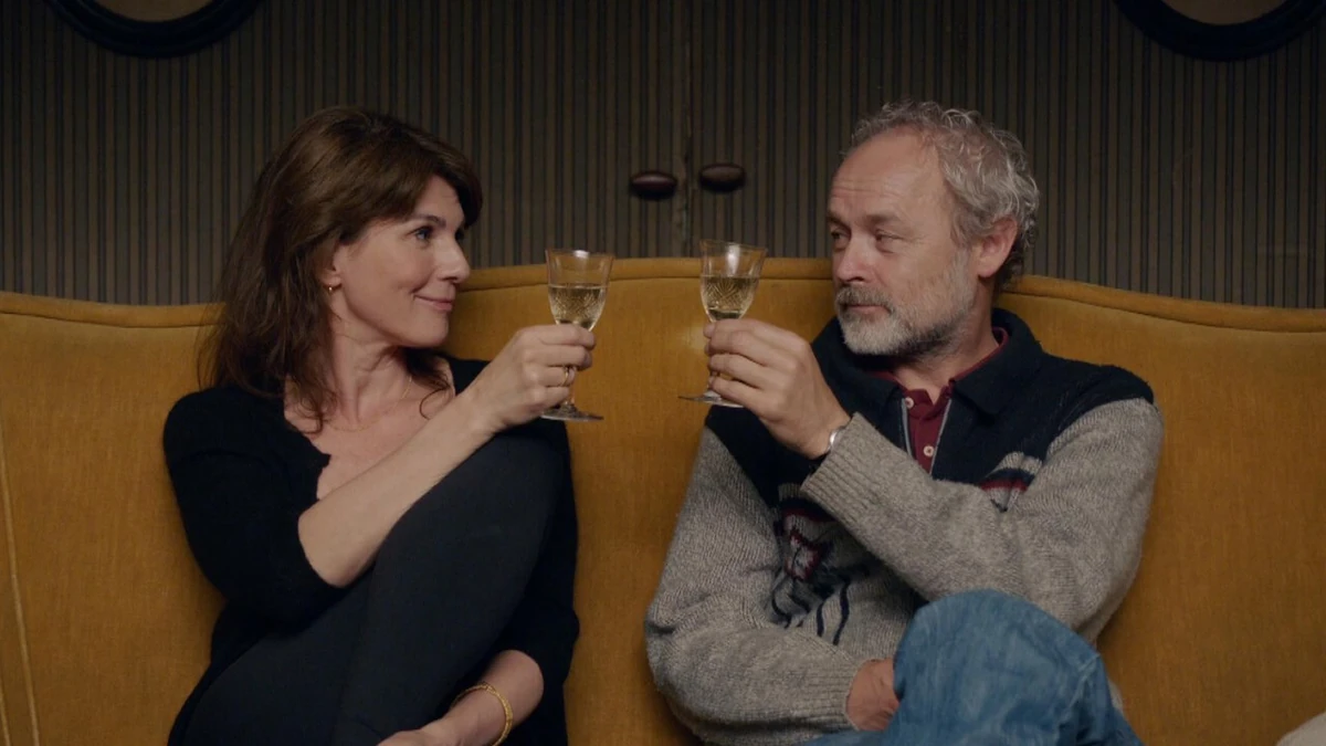 Purple Haze | Dutch Hope (Hollands Hoop) Wiki | Fandom