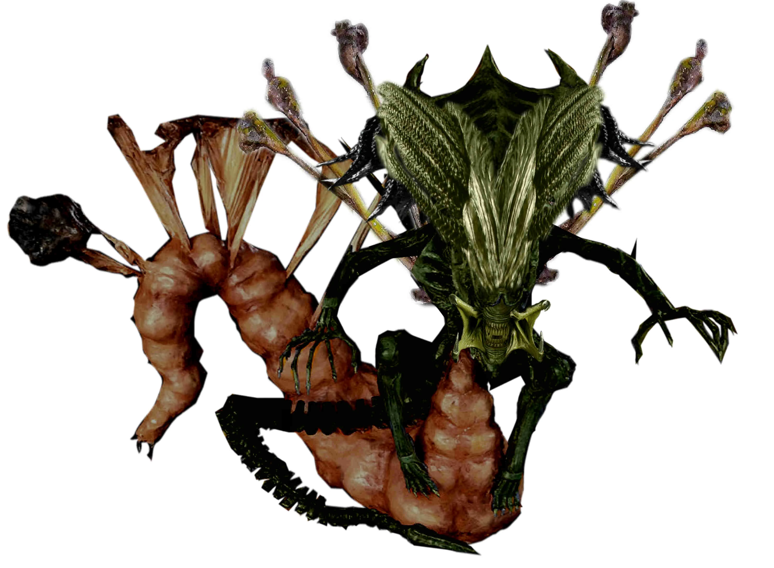 Queen Predalien Egg Predalien Chestburster (AvP / AvP Requiem) Alien