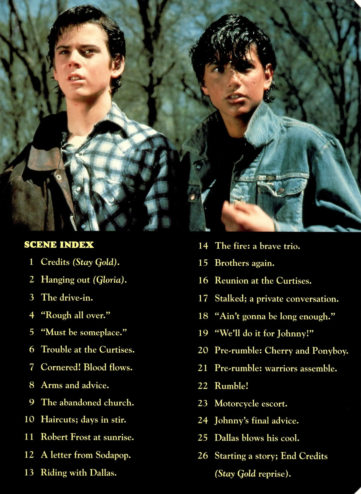 The Outsiders | DVD Database | Fandom