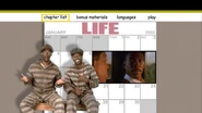 Life (1999) | DVD Database | Fandom