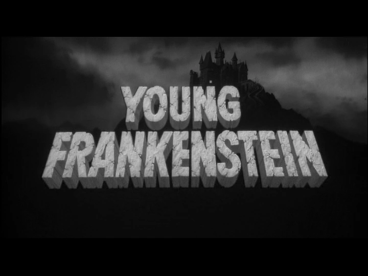Young Frankenstein | DVD Database | Fandom
