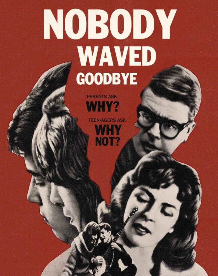 Nobody Waved Goodbye | DVD Database | Fandom