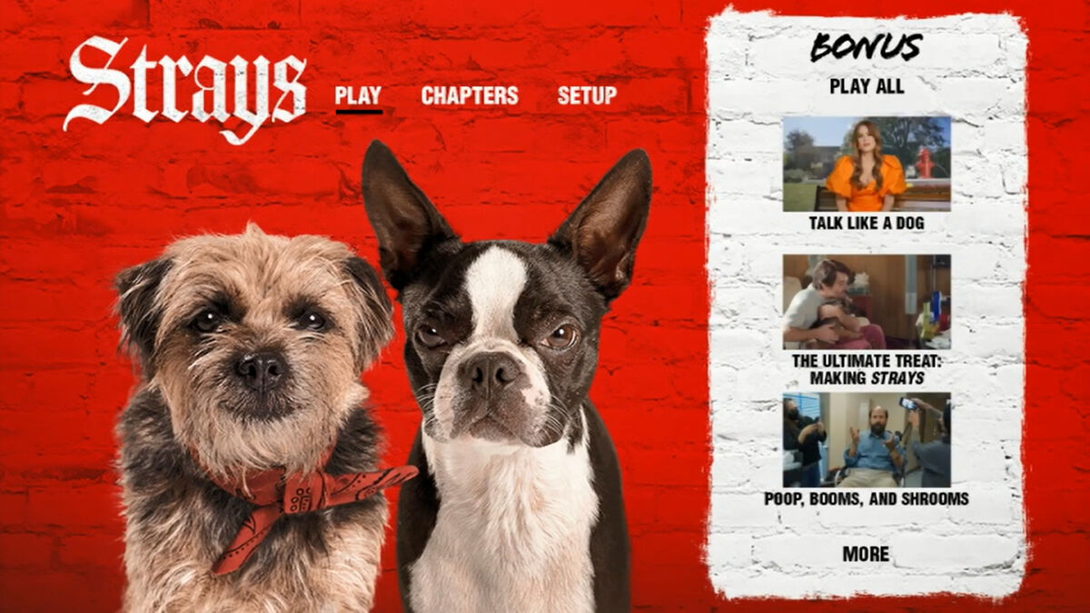 Strays (2023) | DVD Database | Fandom