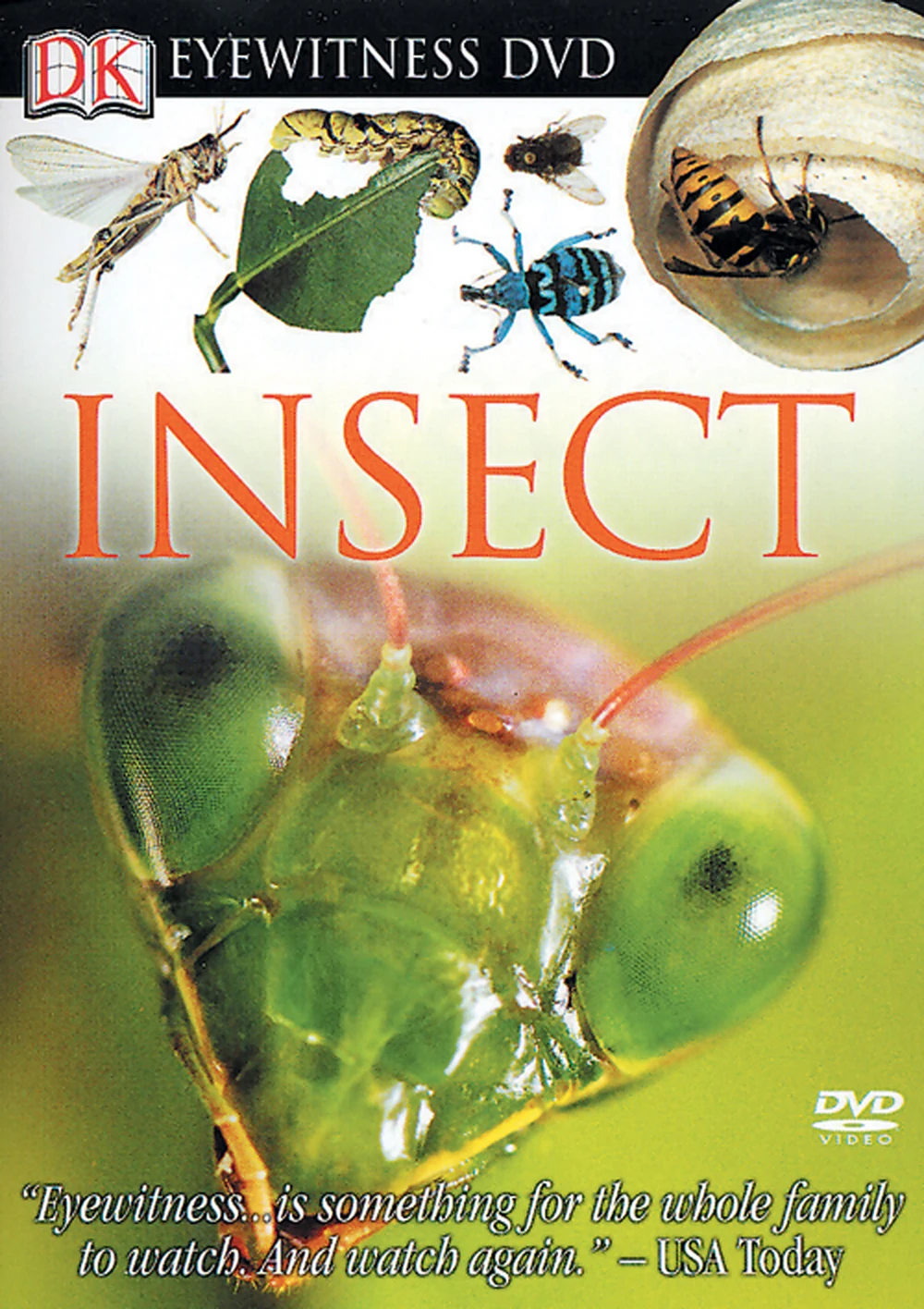 Eyewitness: Insect | DVD Database | Fandom
