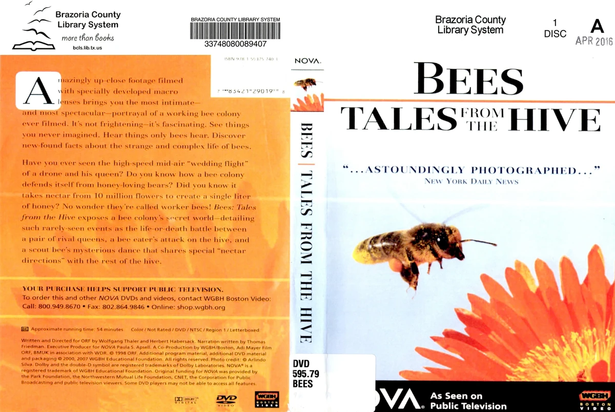 NOVA: Bees: Tales from the Hive | DVD Database | Fandom