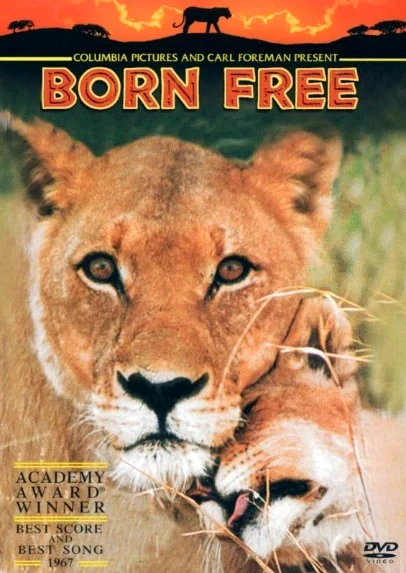 Born Free | DVD Database | Fandom