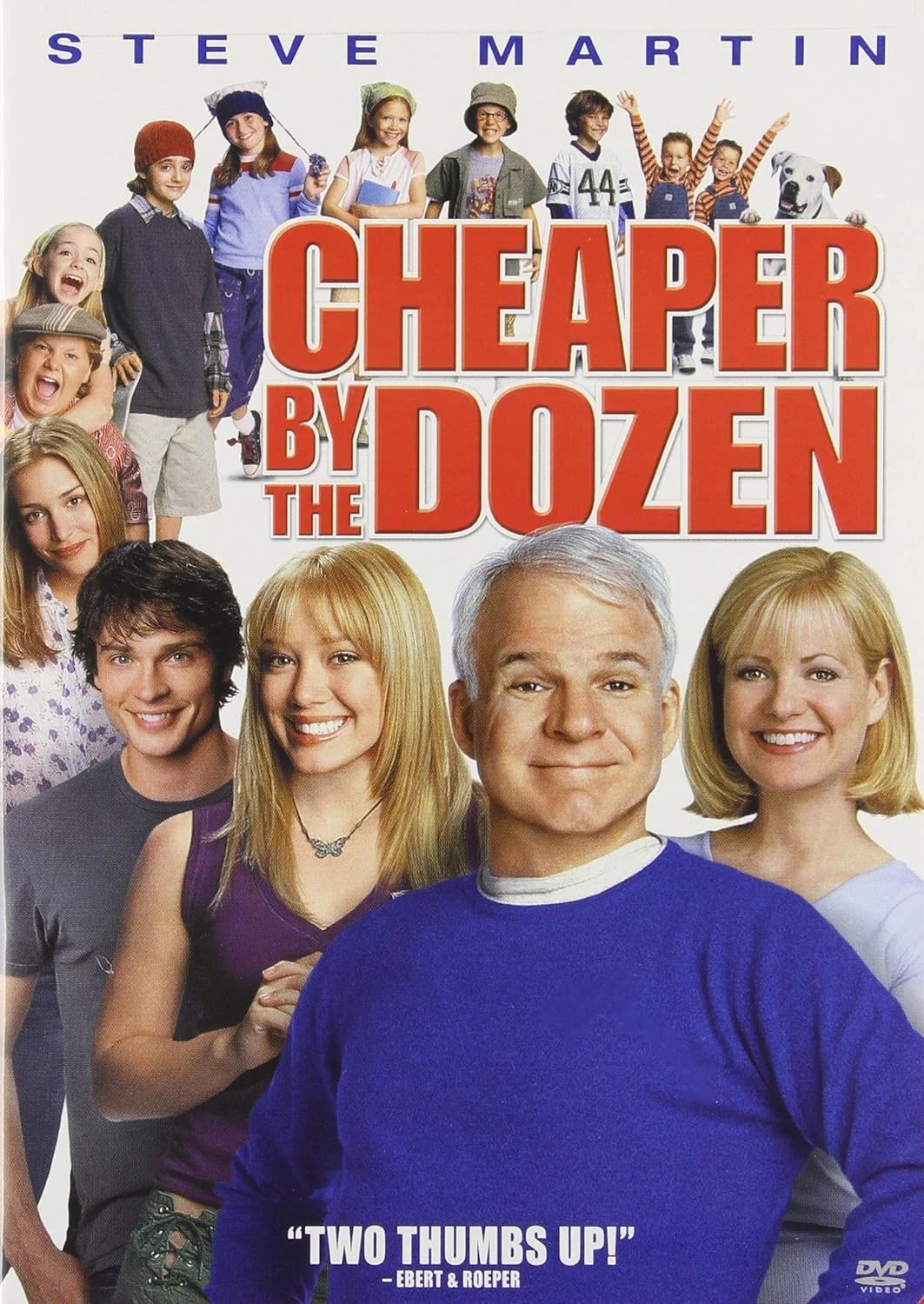 Cheaper By The Dozen 2003 Dvd Database Fandom