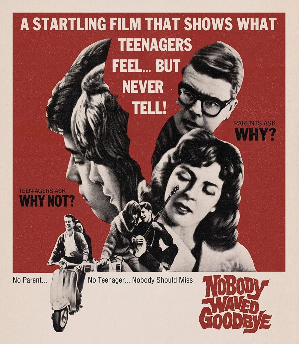 Nobody Waved Goodbye | DVD Database | Fandom