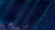 DVD Menu Opening Sequences | DVD Database | Fandom