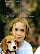 Shiloh | DVD Database | Fandom