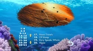 Finding Nemo | DVD Database | Fandom