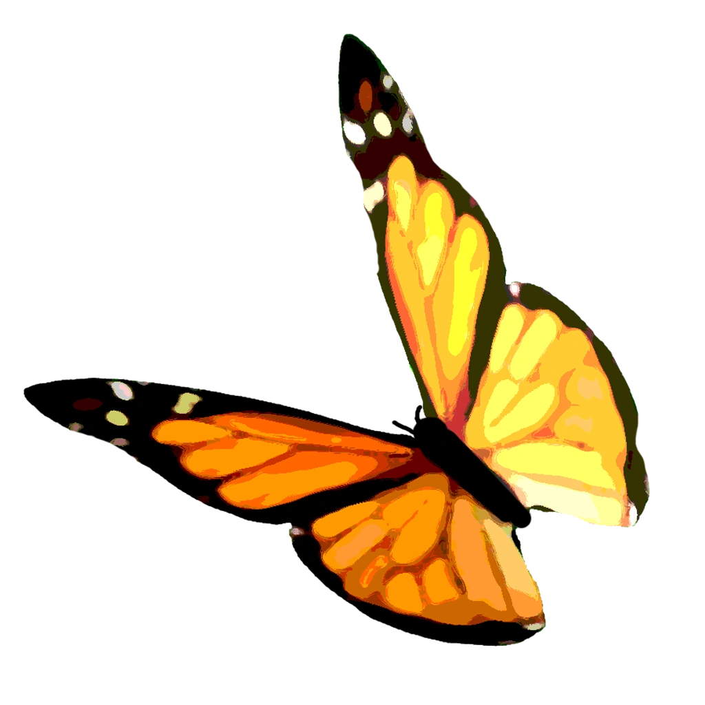 Monarch Butterflies | Dwarrowsgame Wiki | Fandom