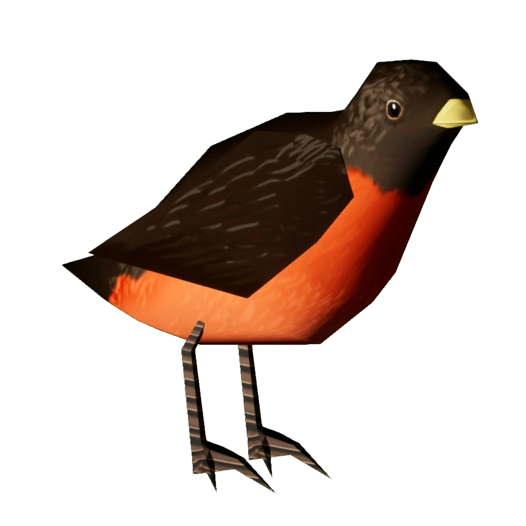 Robin | Dwarrowsgame Wiki | Fandom