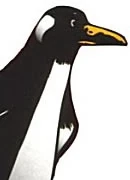 Companions | Doctor Who Expanded | Fandom