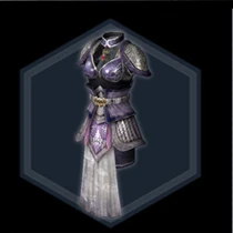 Amethyst Armor | DWO Z Wiki | Fandom