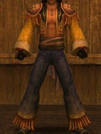 Westerm Garb | Dynasty Warriors Online Eng Wiki | Fandom