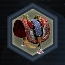 Items | DWOZ Wiki | Fandom